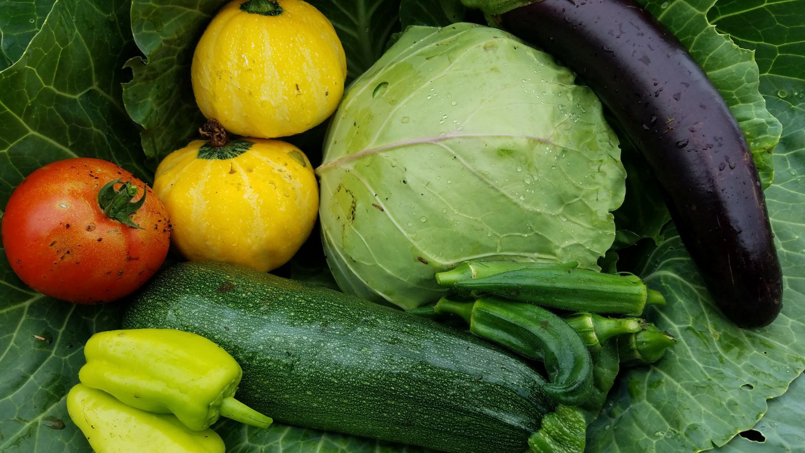 Let's Grow Akron- Community Garden - Produce