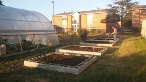 Let’s Get Growing 2020